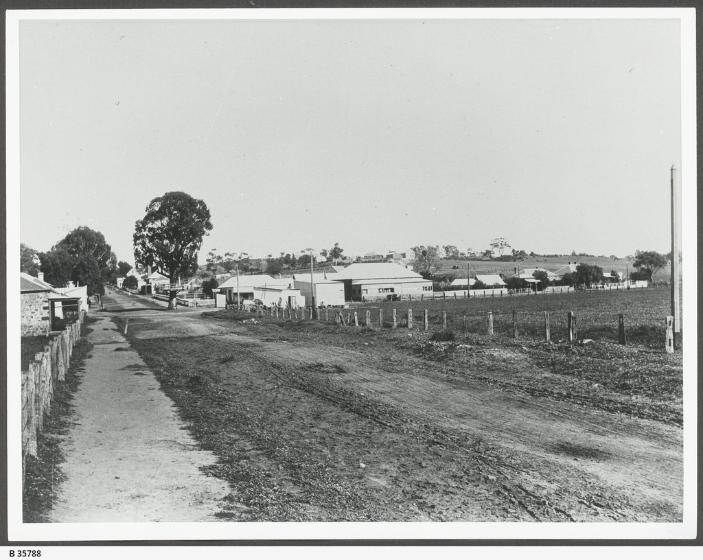 Lyndoch • Photograph • State Library of South Australia