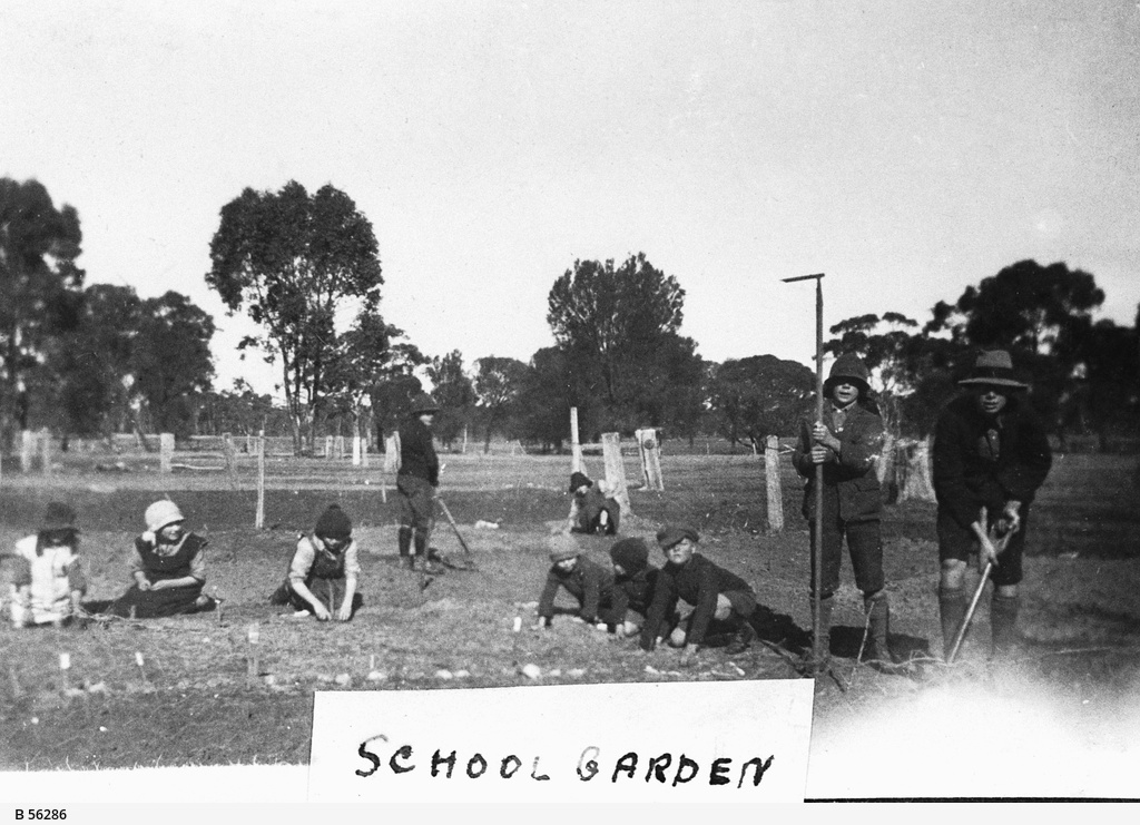 Children in Wilford School garden • Photograph • State Library of South ...