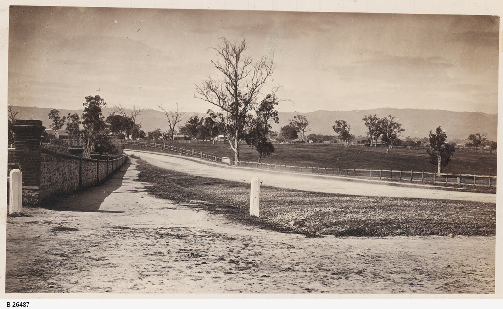 North Terrace • Photograph • State Library of South Australia