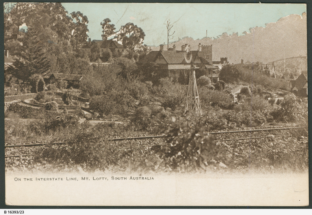 Mount Lofty • Photograph • State Library of South Australia