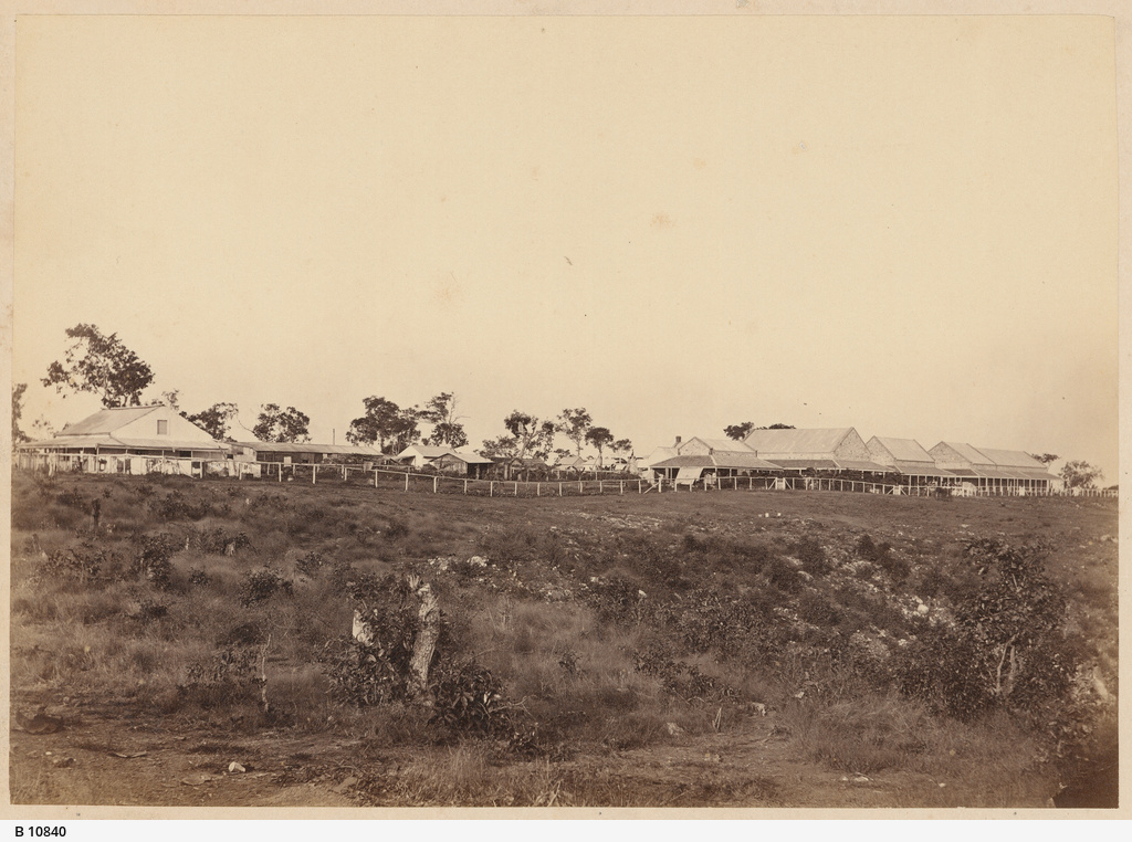 Darwin • Photograph • State Library of South Australia