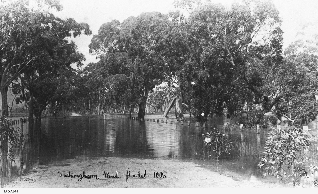 Flooding at Mundalla [i.e., Mundulla] • Photograph • State Library of ...