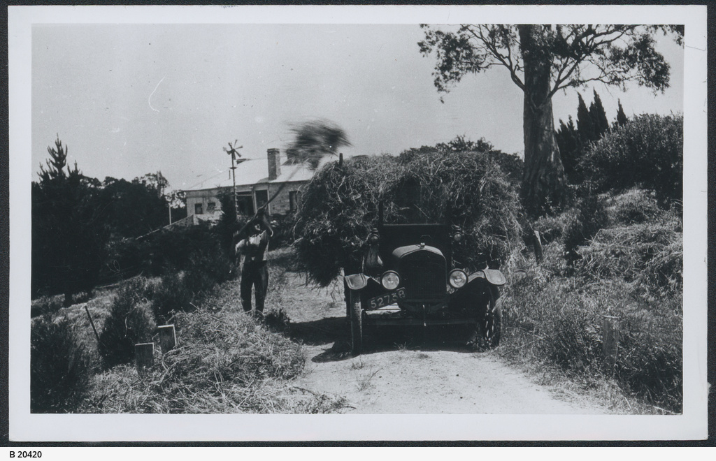 "Springfield", Mt Crawford • Photograph • State Library of South Australia