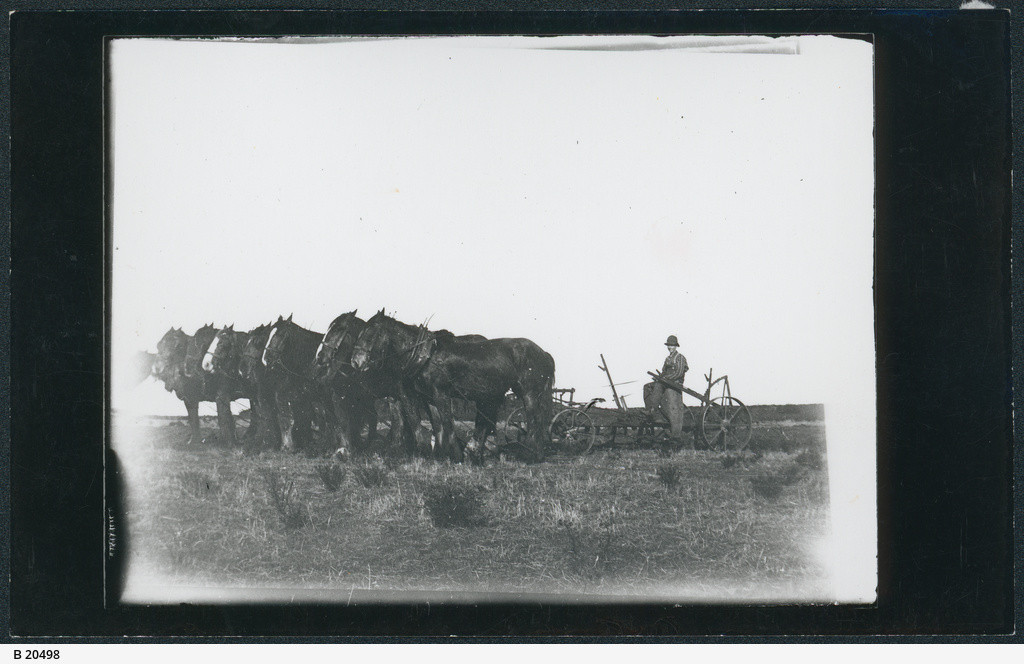 Stump Jump Plough • Photograph • State Library of South Australia