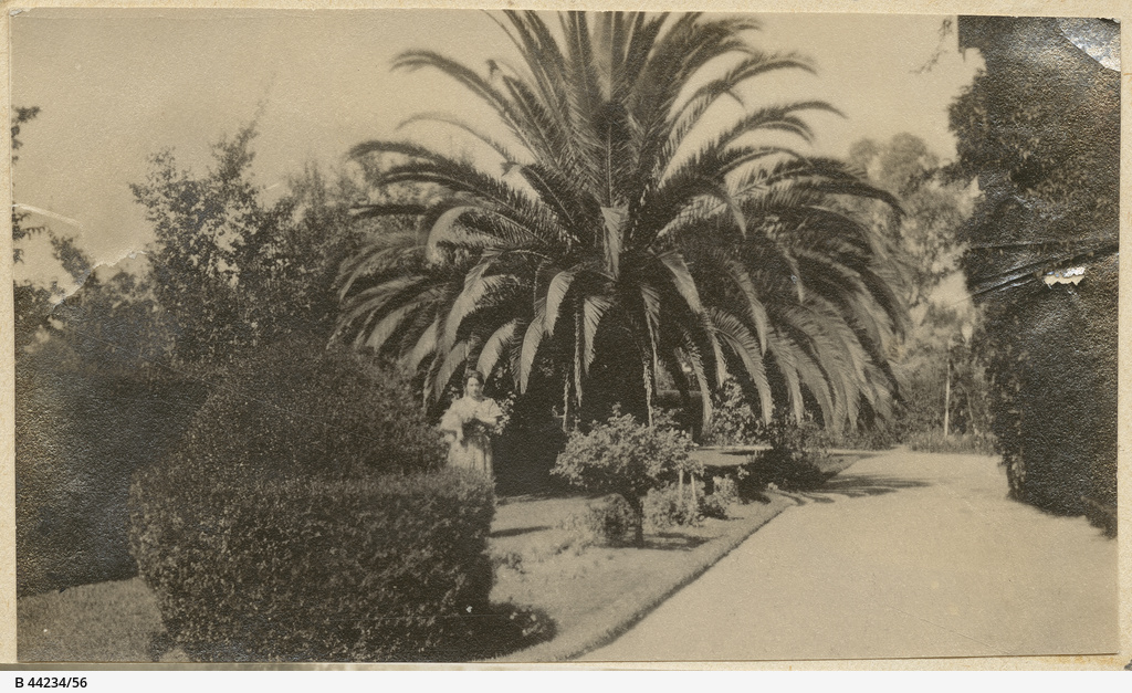 Photograph album, mostly of Erindale • Photograph • State Library of ...