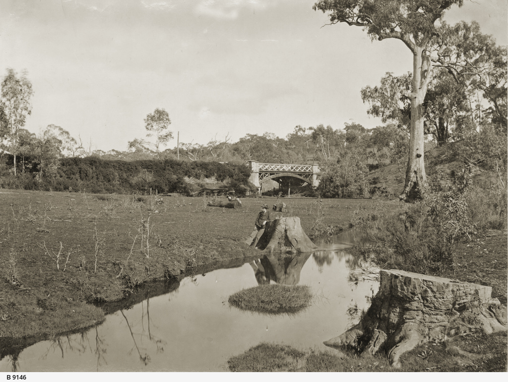 Chain of Ponds • Photograph • State Library of South Australia