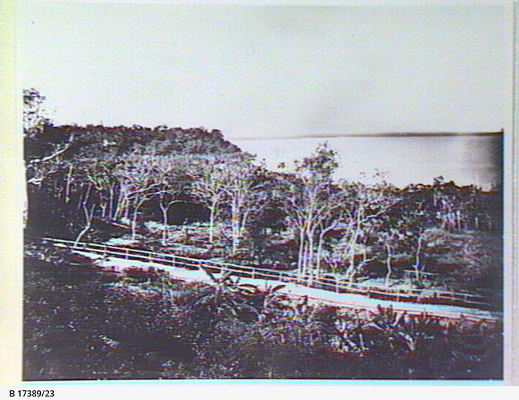 Darwin • Photograph • State Library of South Australia