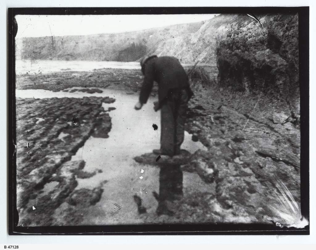 Fishing from rock pools • Photograph • State Library of South Australia