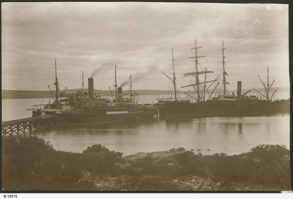 Kirton Point Jetty • Photograph • State Library of South Australia