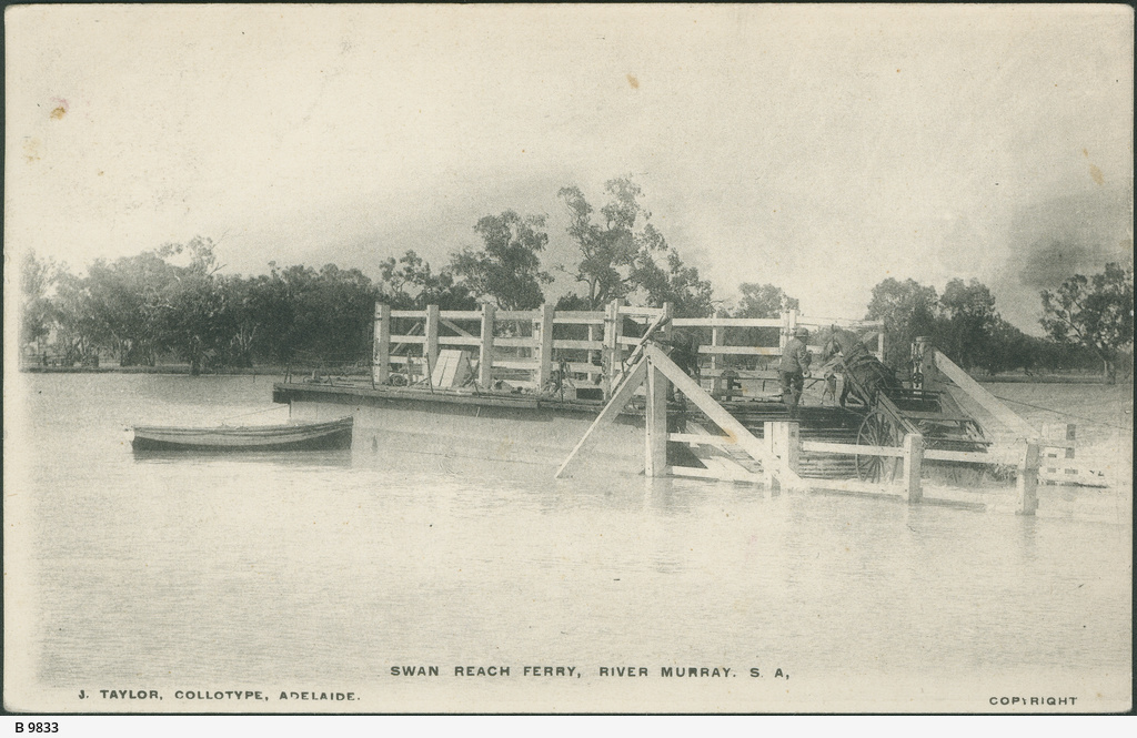 Swan Reach Ferry • Photograph • State Library of South Australia