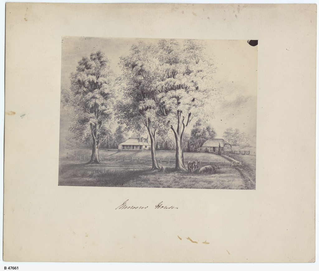 Moorooroo Station • Artwork • State Library of South Australia