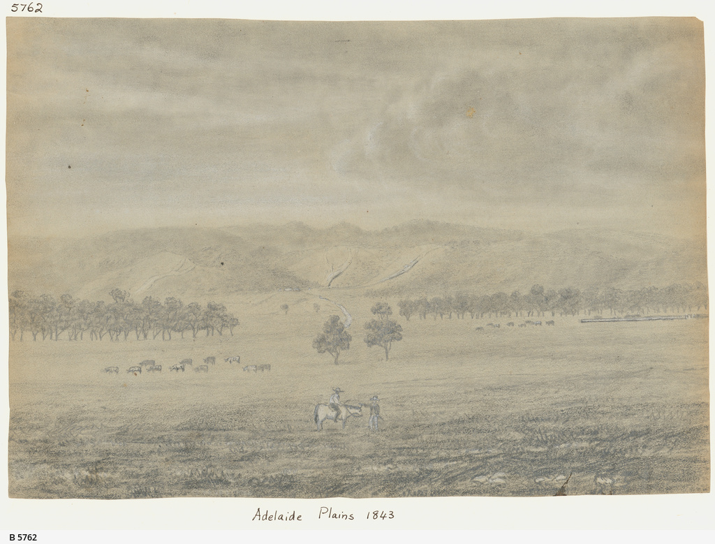 Adelaide Plains • Artwork • State Library of South Australia