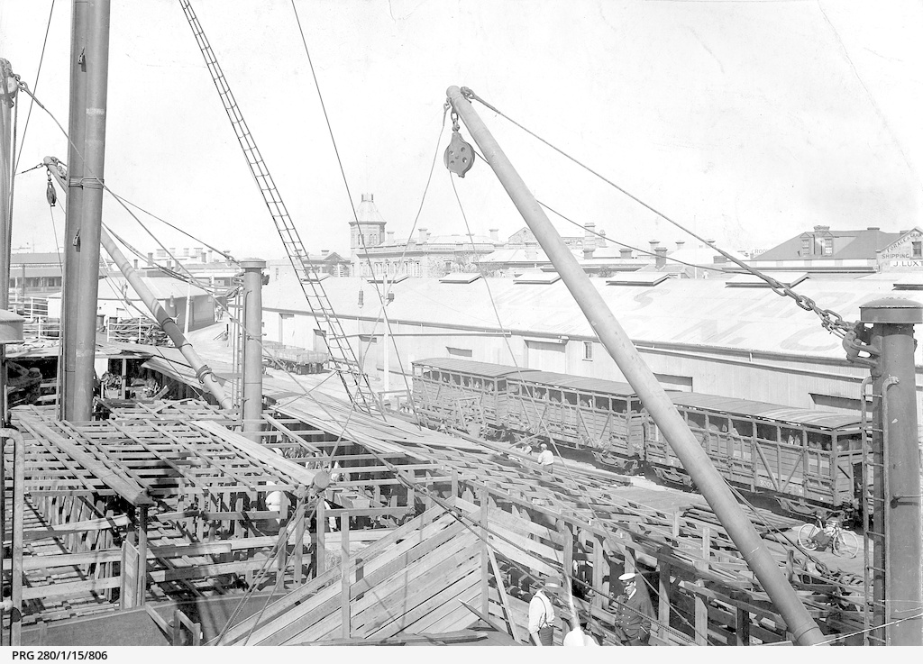 Horses in cattle trucks at North Parade wharf, Port Adelaide ...