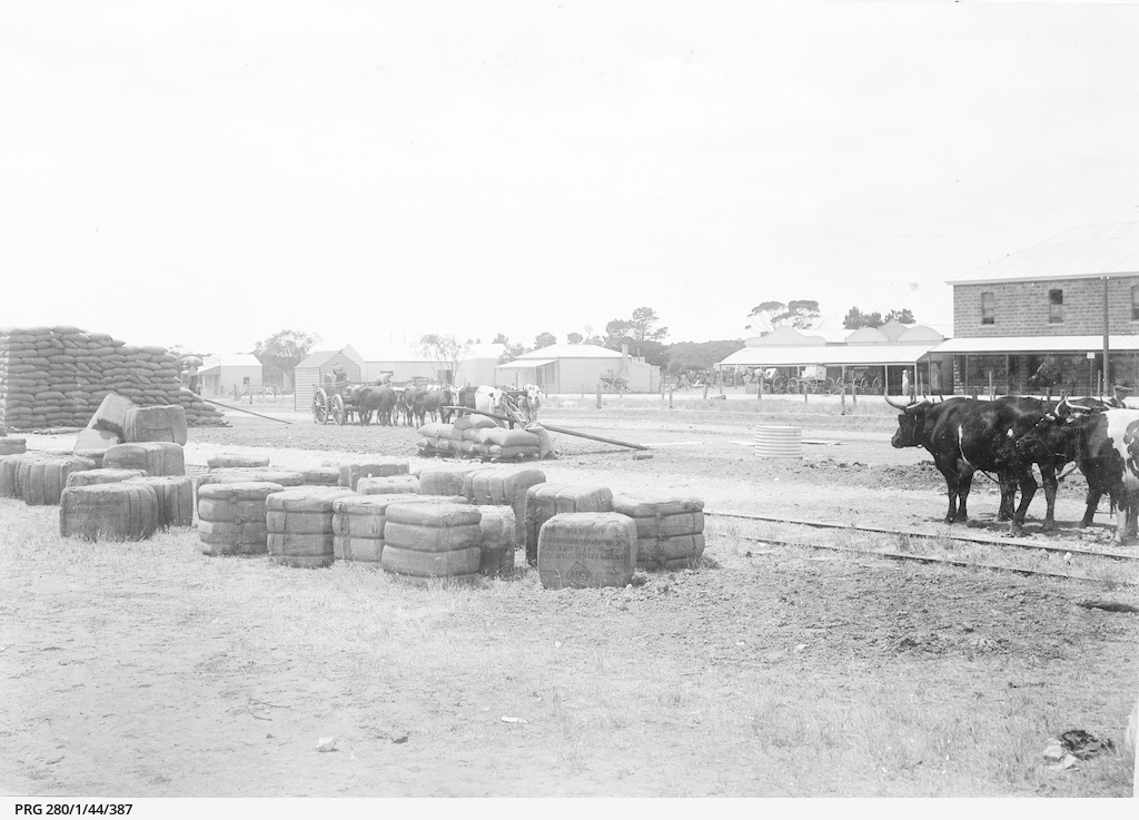 Lameroo, South Australia • Photograph • State Library of South Australia