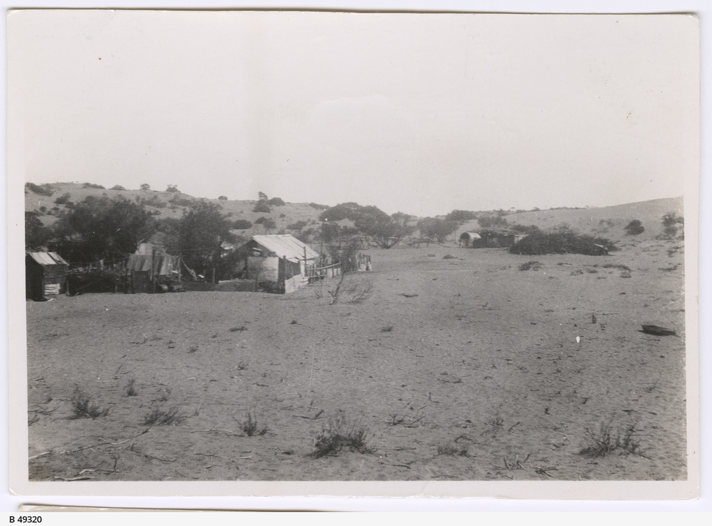 Ooldea • Photograph • State Library of South Australia