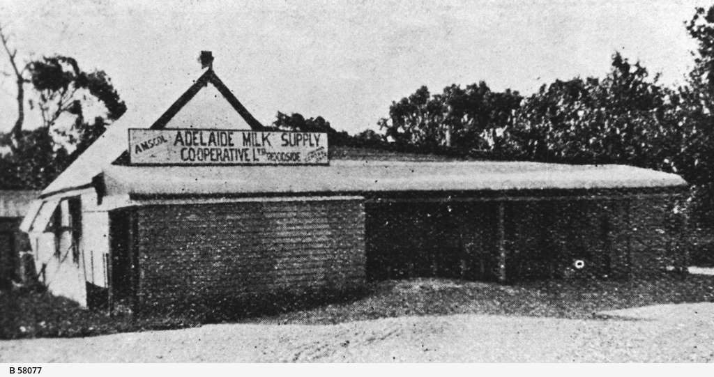 Amscol butter factory at Woodside • Photograph • State Library of South ...
