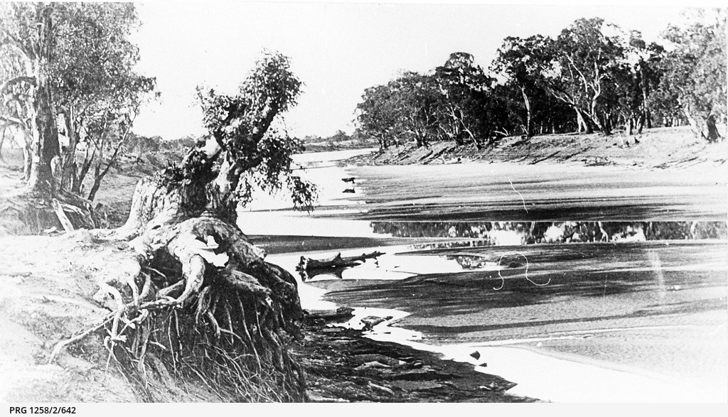 River Murray at Moorook looking north in the low river of 1915 ...
