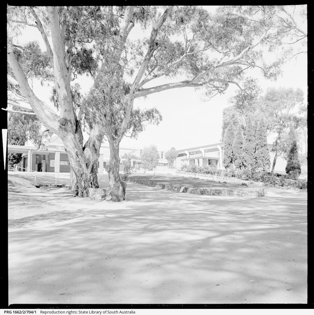 Rostrevor College • Photograph • State Library of South Australia