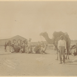 1896 • Find • State Library of South Australia