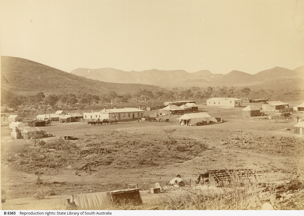 Cadnia • Photograph • State Library of South Australia