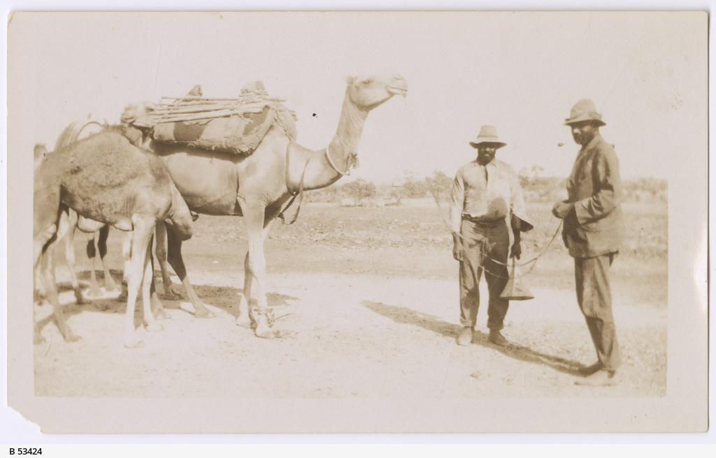 Macumba Station • Photograph • State Library of South Australia