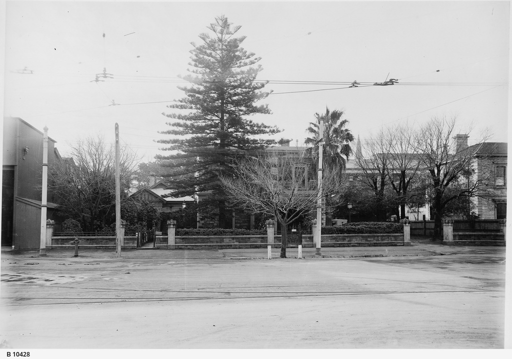 Angas Street • Photograph • State Library of South Australia