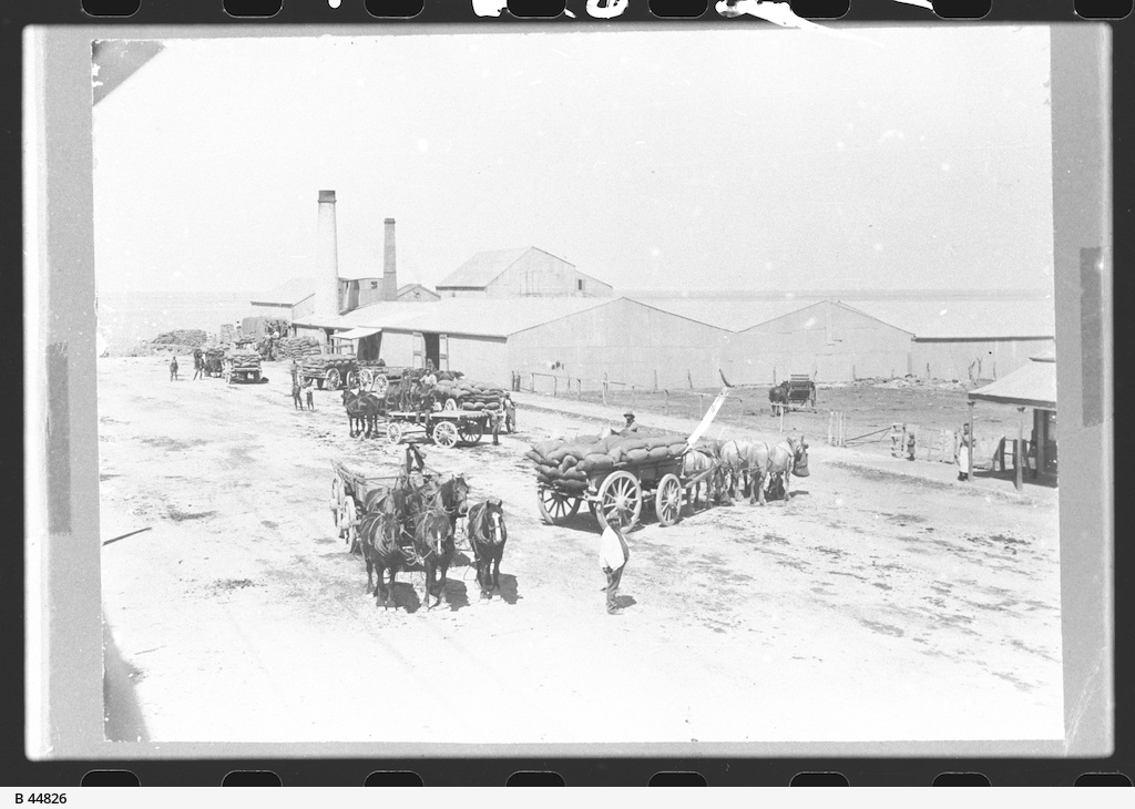 Edithburgh • Photograph • State Library of South Australia