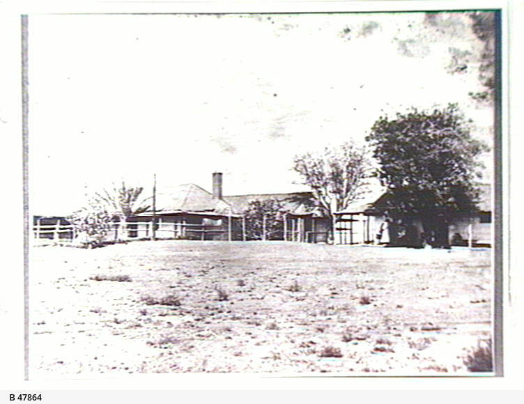 The Homestead • Photograph • State Library of South Australia