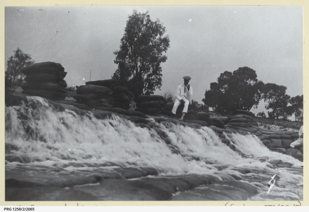 Sandbagged river at Renmark • Photograph • State Library of South Australia