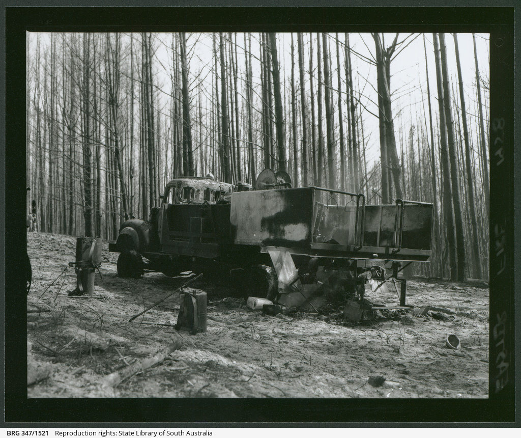 Easter Fire • Photograph • State Library of South Australia
