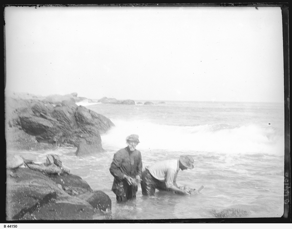 Corny Point • Photograph • State Library of South Australia
