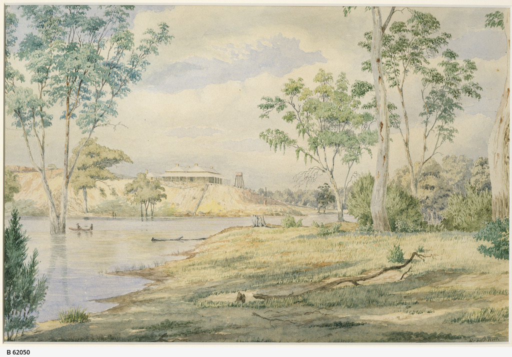 Paringa station, Murray River • Artwork • State Library of South Australia
