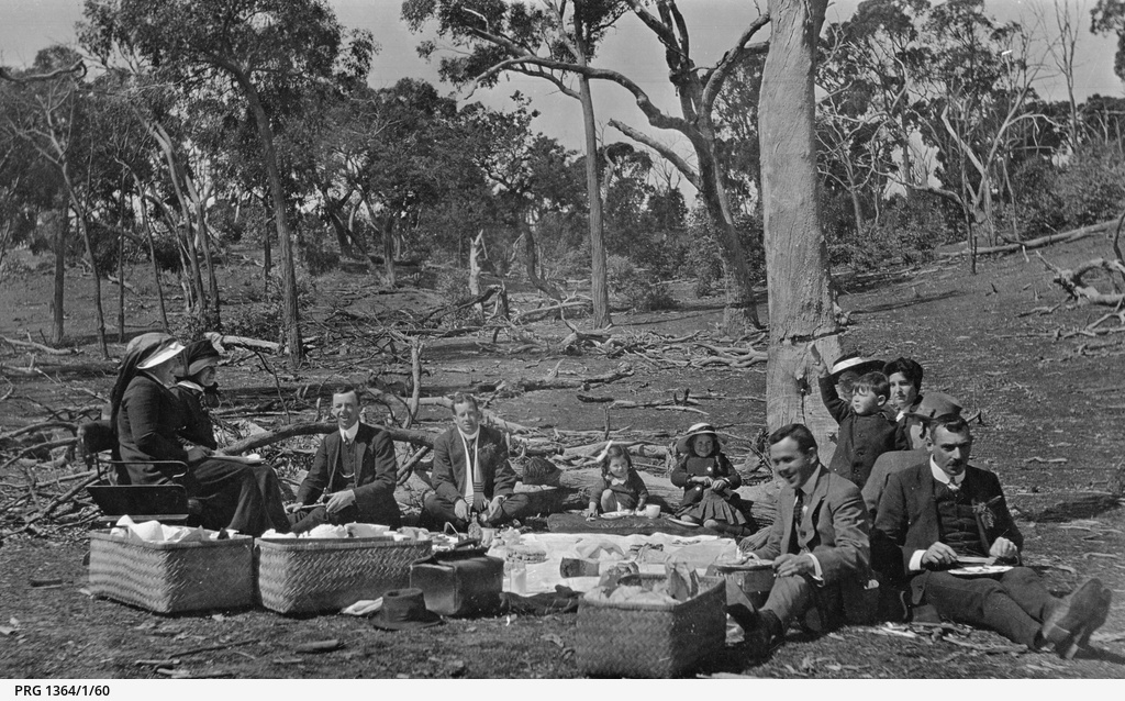 Bush picnic • Photograph • State Library of South Australia
