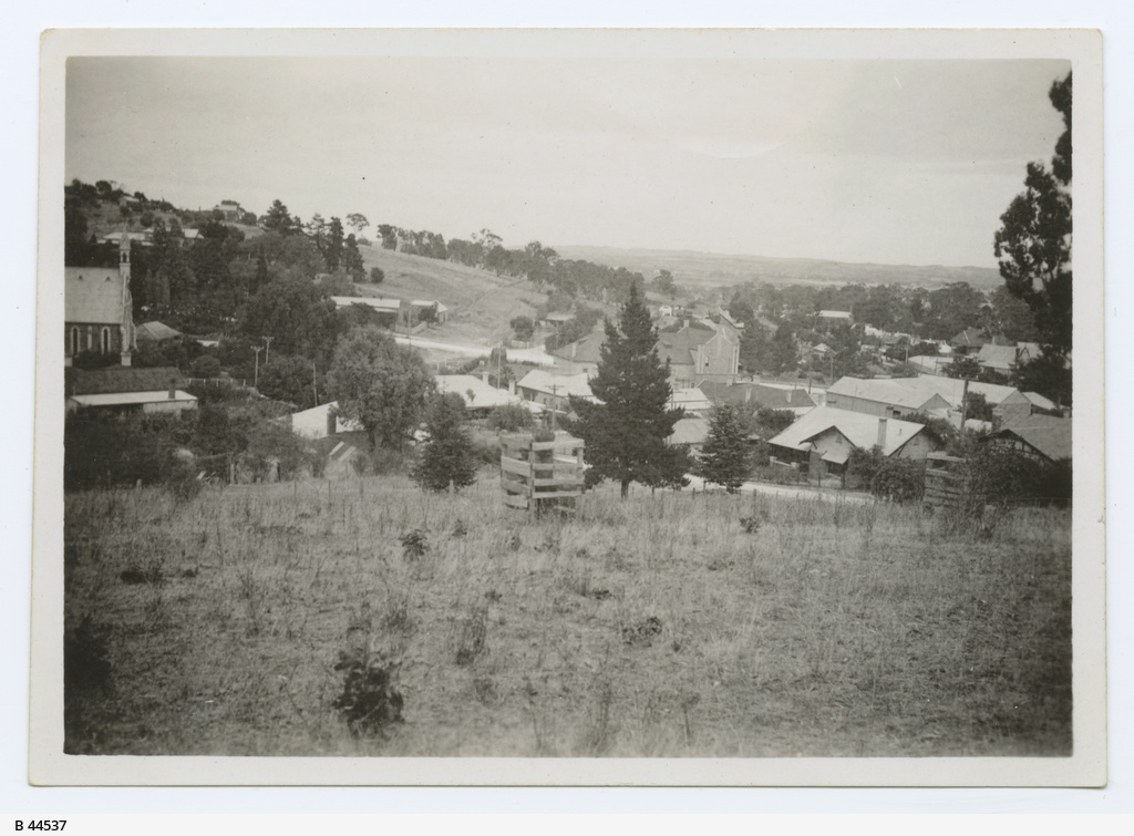Angaston • Photograph • State Library of South Australia