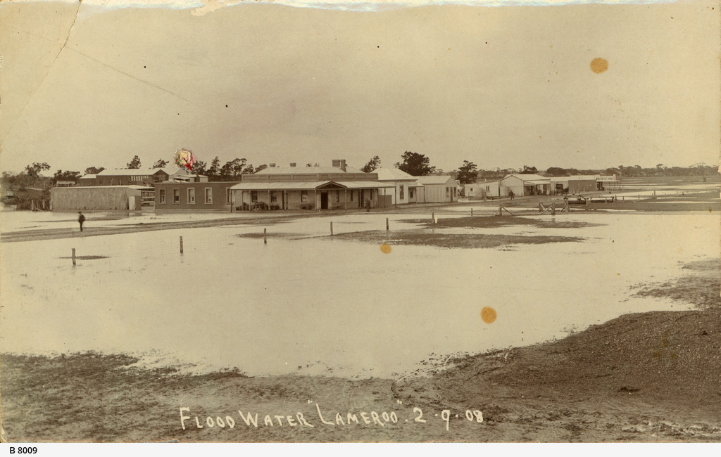 Flooding, Lameroo • Photograph • State Library of South Australia