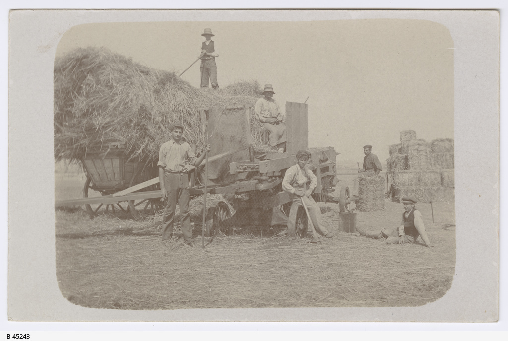 Freeling • Photograph • State Library of South Australia