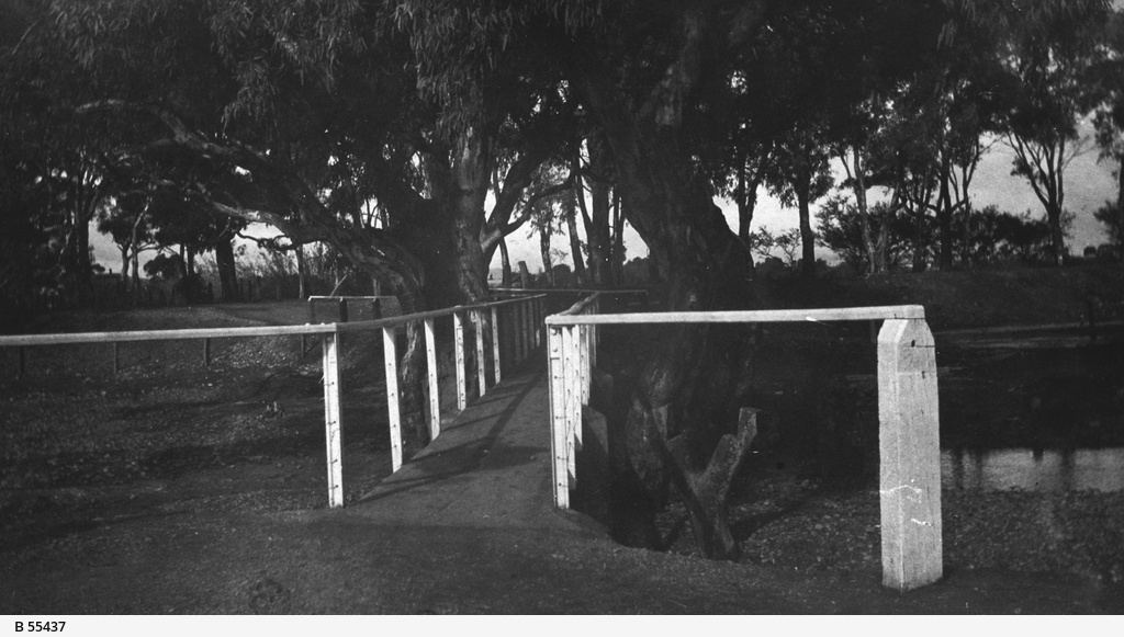 Diggers Bridge • Photograph • State Library of South Australia