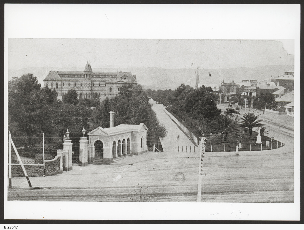 North Terrace • Photograph • State Library of South Australia