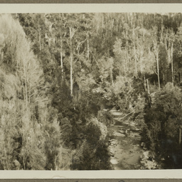 rosebery • Find • State Library of South Australia