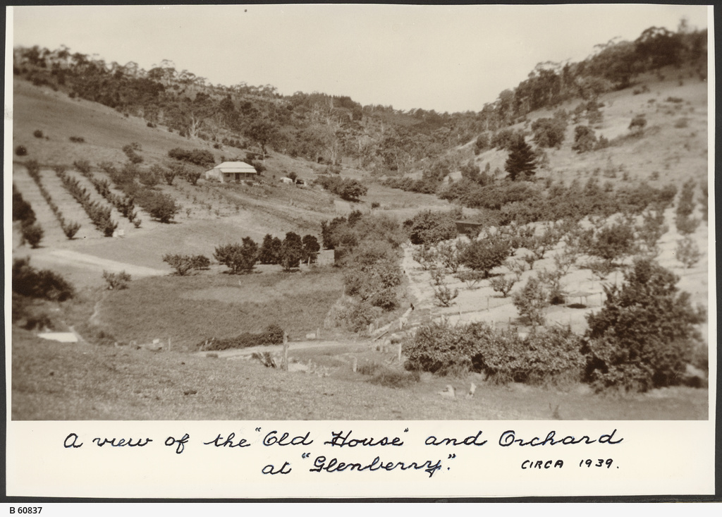 'Glenberry' a property at Hawthorndene • Photograph • State Library of ...