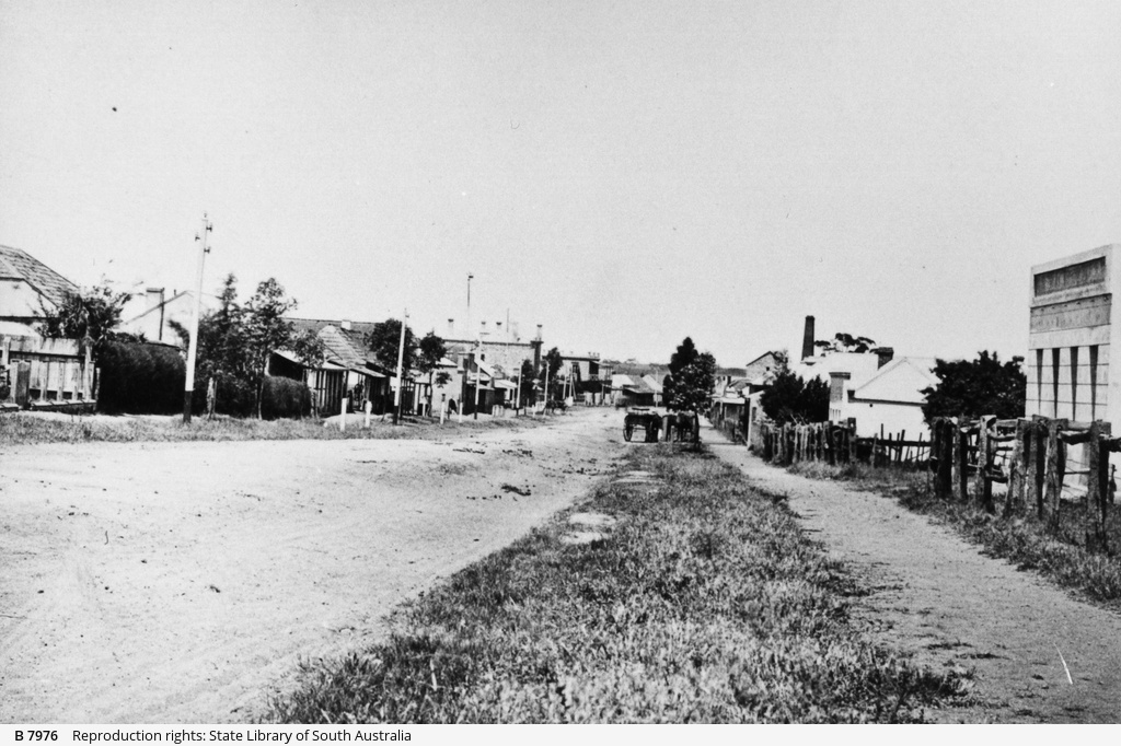 Tanunda • Photograph • State Library of South Australia