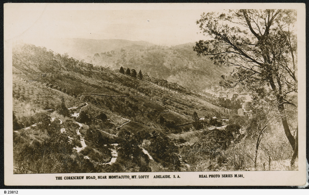 Corkscrew Road, Montacute • Photograph • State Library of South Australia