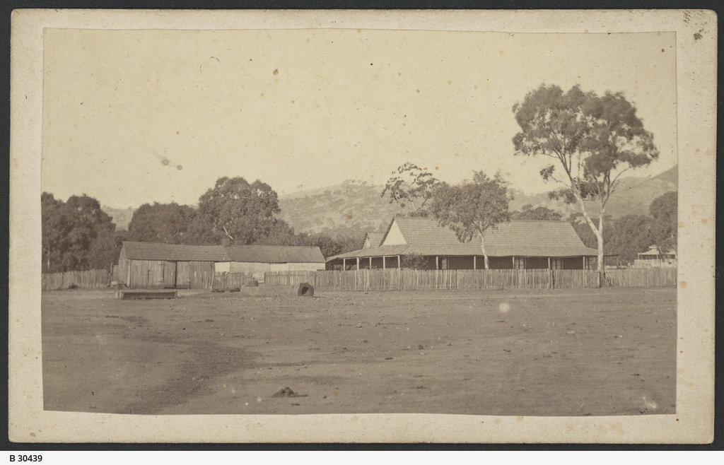 Homestead, Maitland • Photograph • State Library of South Australia