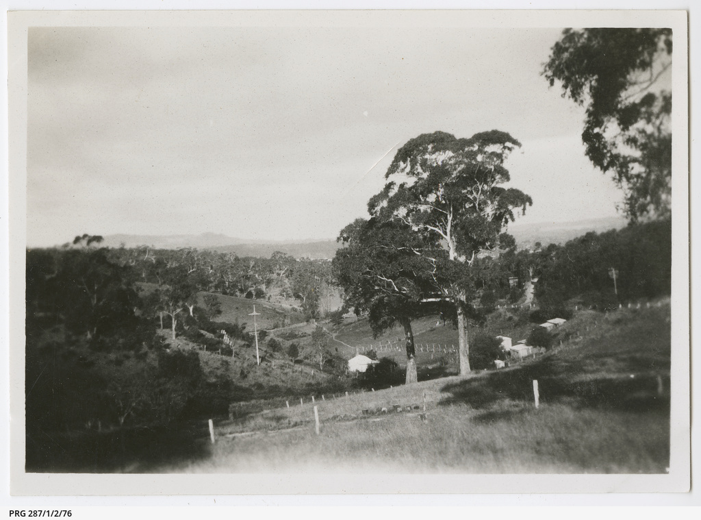 Mount Barker • Photograph • State Library of South Australia