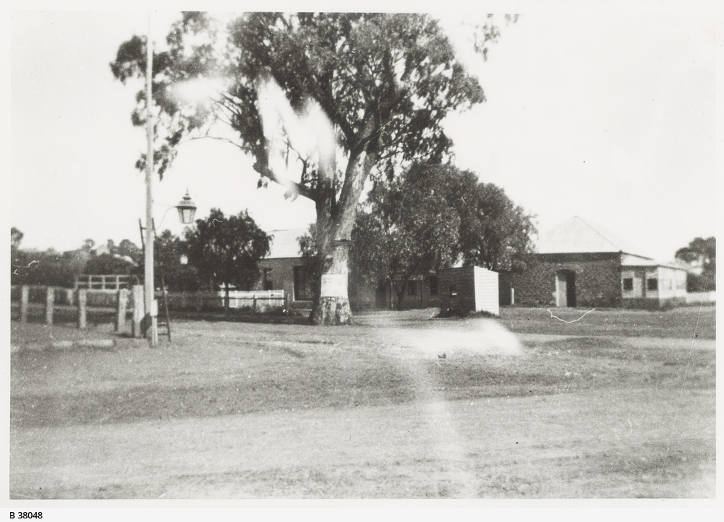 Bevilaquas' Store, Lyndoch • Photograph • State Library of South Australia
