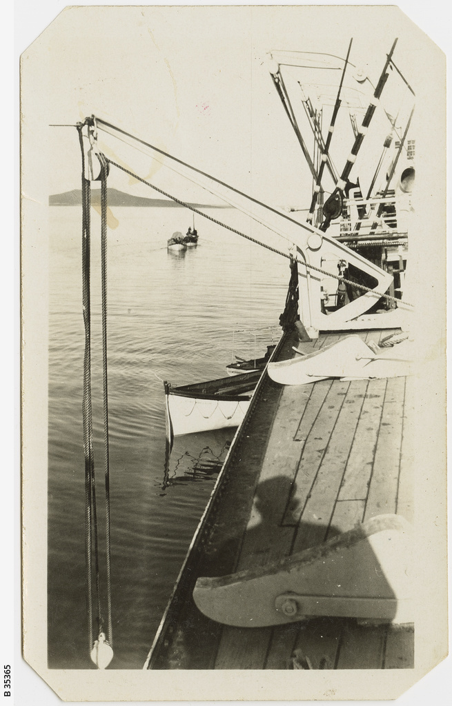 "Minnipa", Boston Island • Photograph • State Library of South Australia
