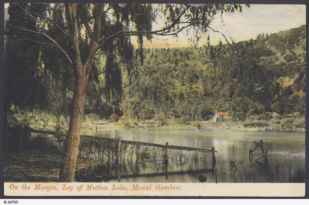 Leg of Mutton Lake • Photograph • State Library of South Australia