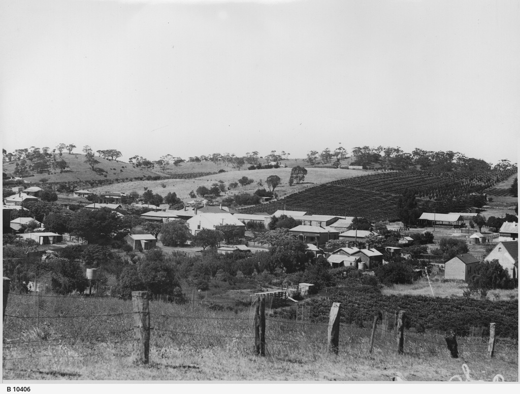 Angaston • Photograph • State Library of South Australia