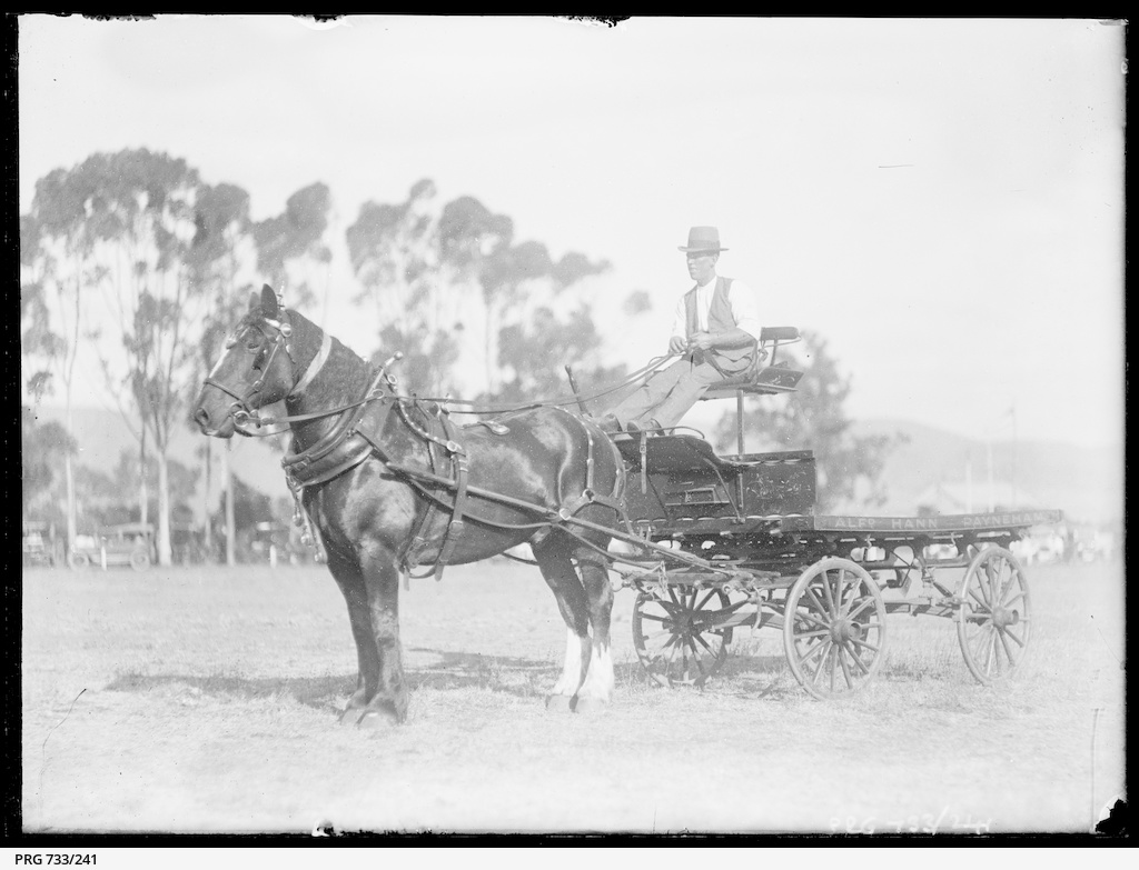 Horse and dray • Photograph • State Library of South Australia