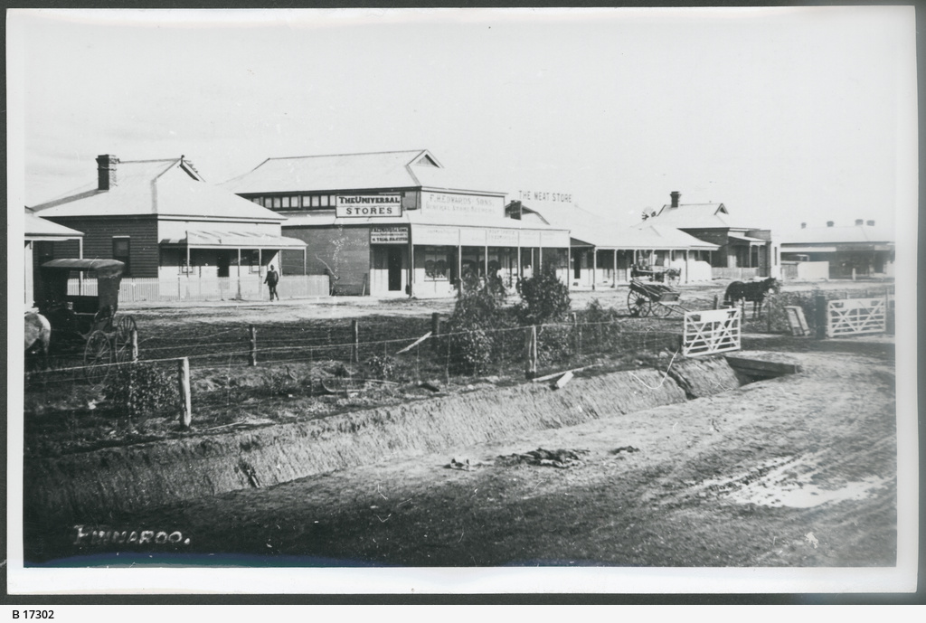 Pinnaroo • Photograph • State Library of South Australia